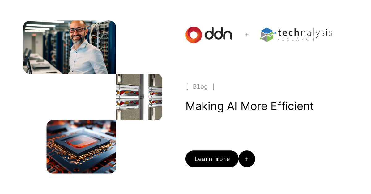 Making AI More Efficient - DDN